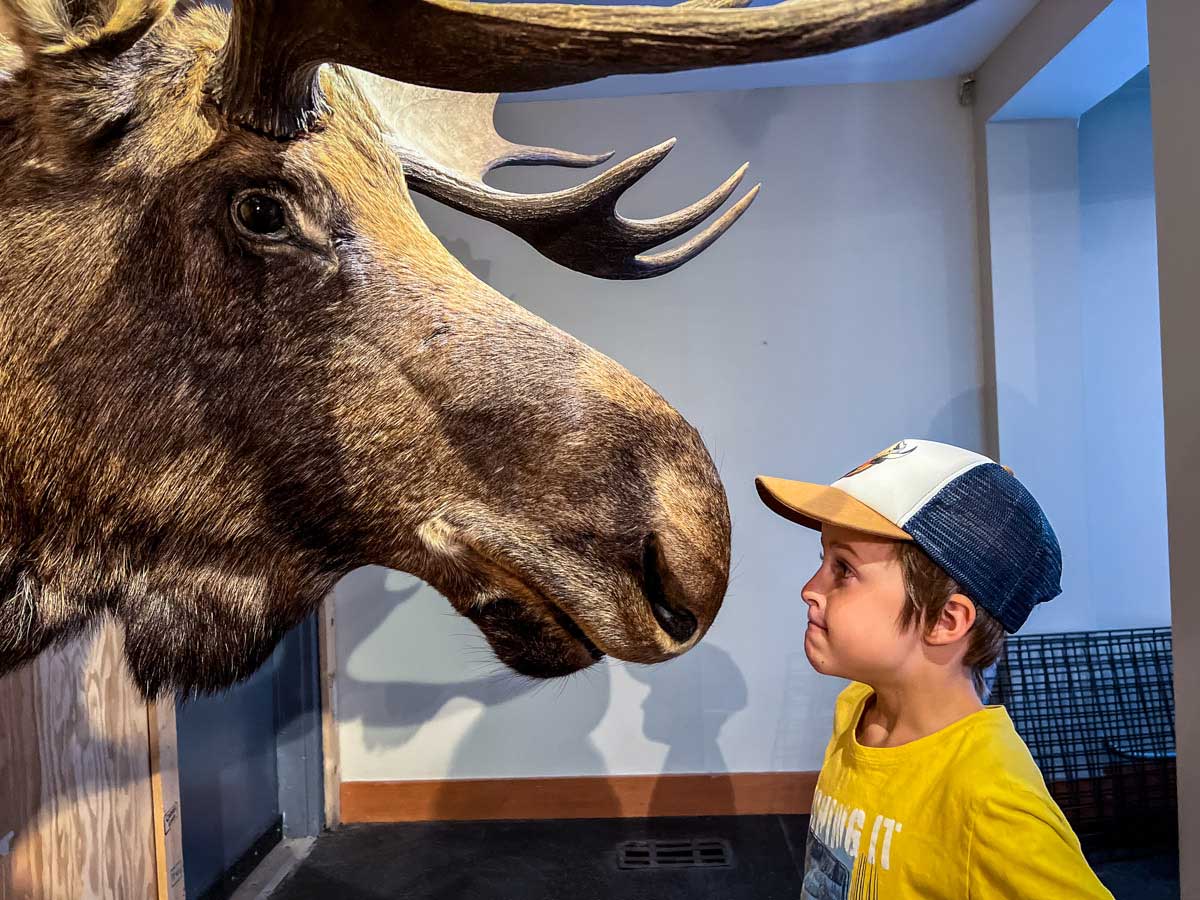 Ultimate Guide to Banff with Kids in Summer - Banff with Kids