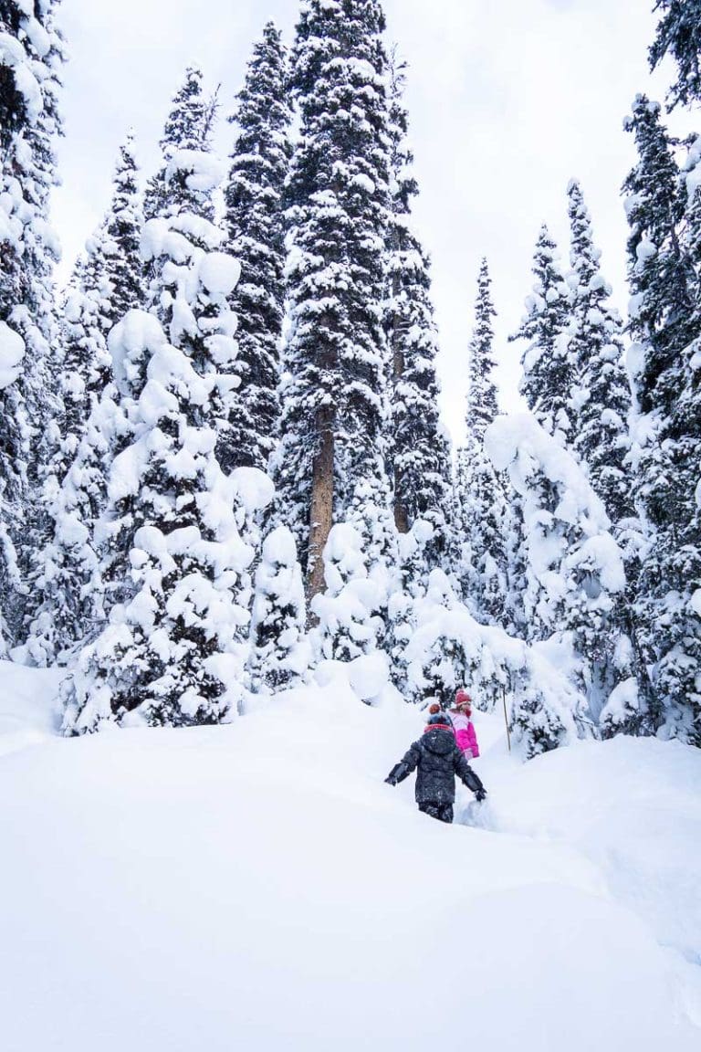 The 15 Best Things to do in Banff with Kids in Winter - Banff with Kids