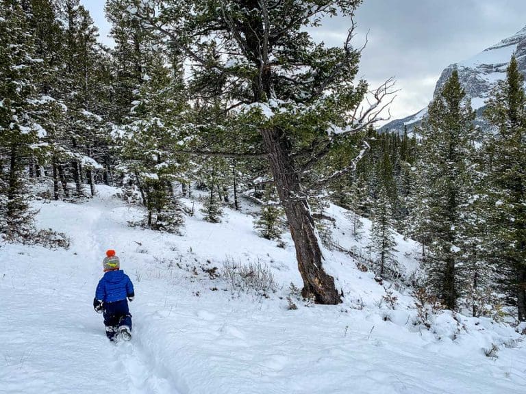 The 15 Best Things to do in Banff with Kids in Winter - Banff with Kids