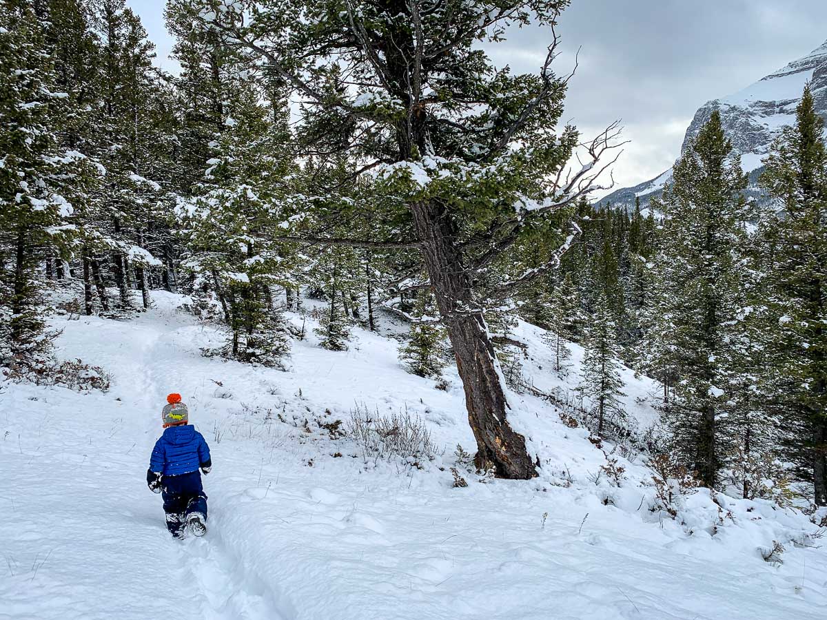 The 15 Best Things to do in Banff with Kids in Winter - Banff with Kids