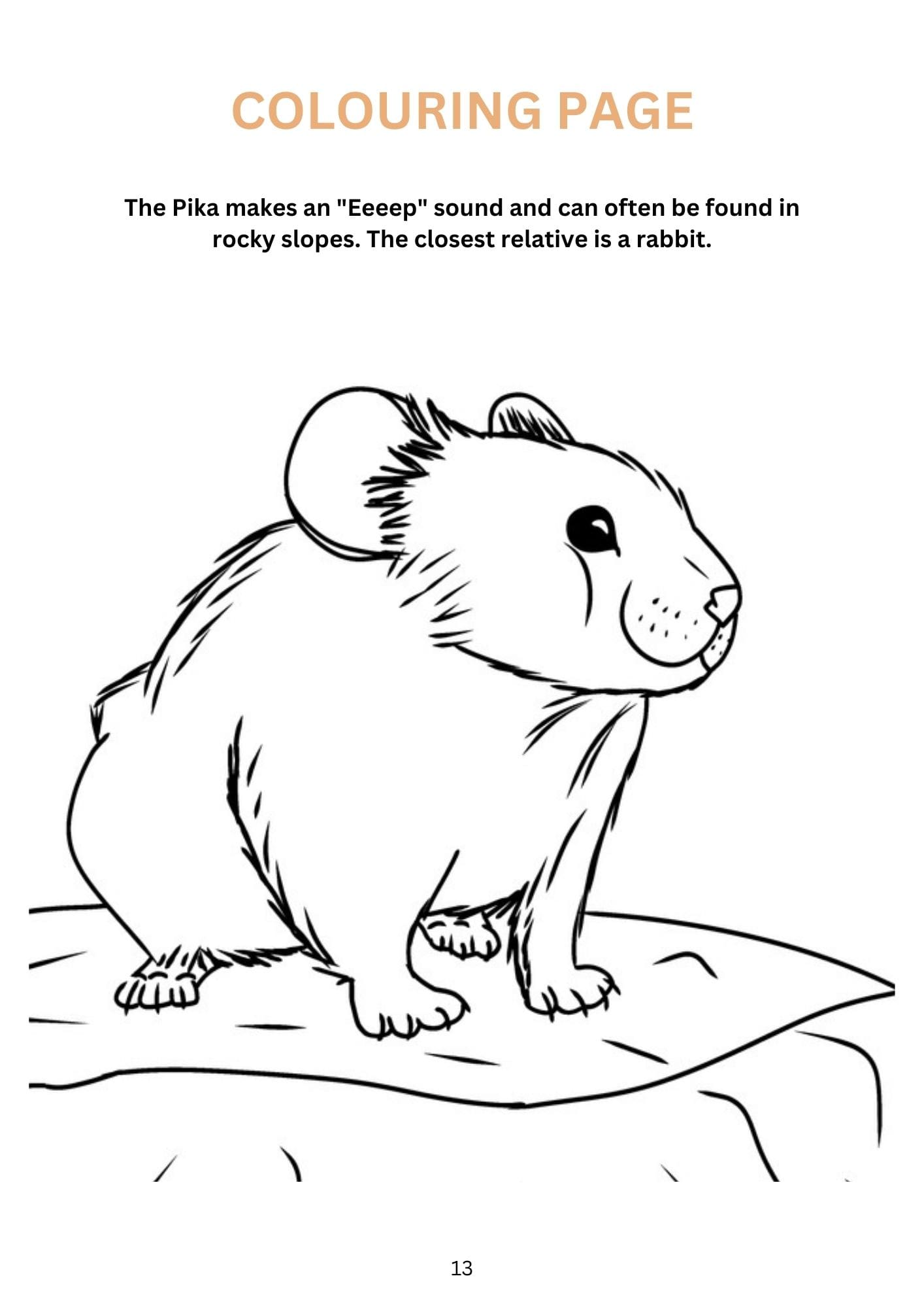 Banff Kids Activity Book - Banff with Kids